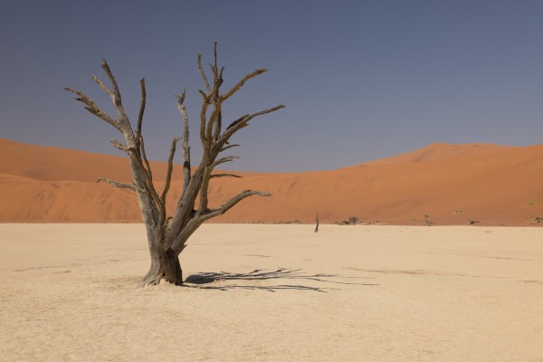 Namibia – Andrew Wainwright Photography